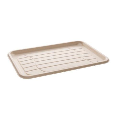Compostable Pulp Platter & Lid Large | Dynamec
